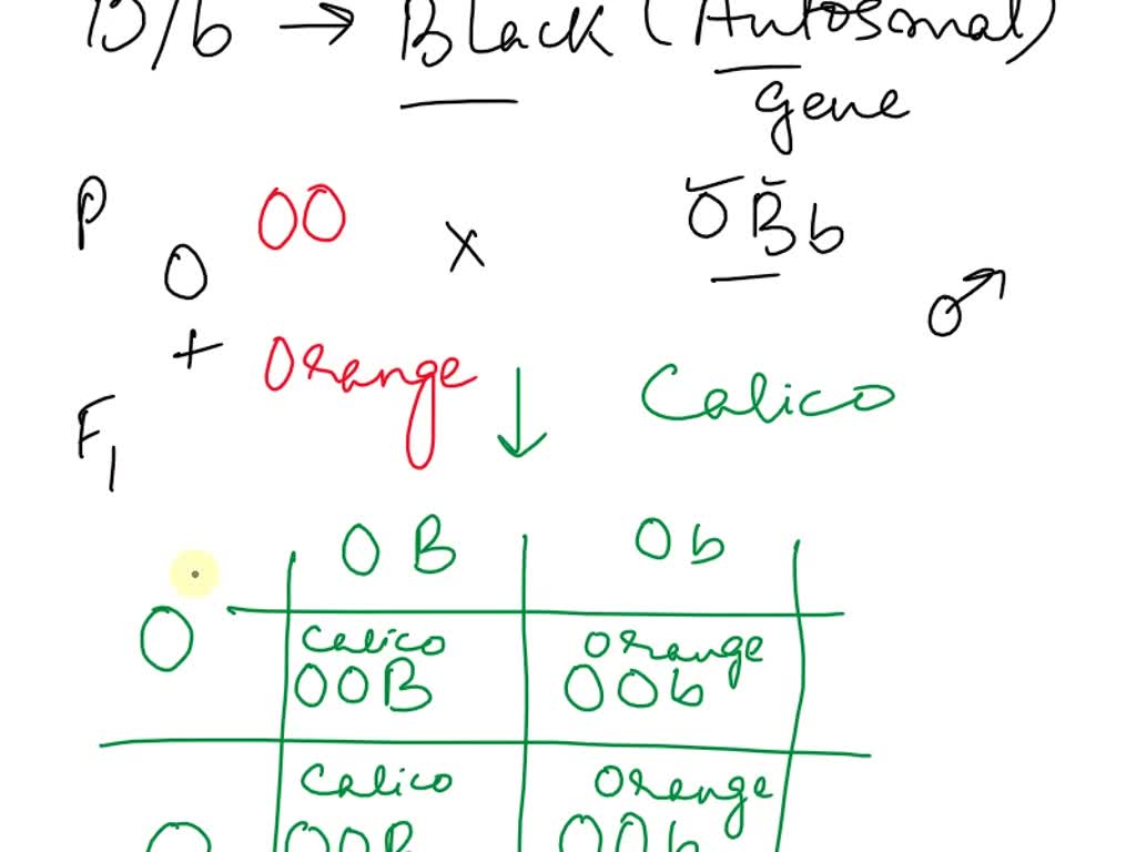 SOLVED: Use the following scenario to answer the questions below. (10 ...