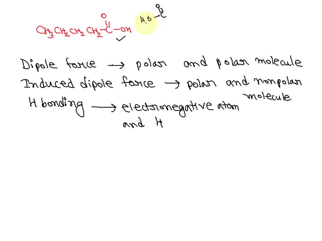 SOLVED: What type(s) of intermolecular forces are expected between ...