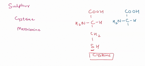 Chapter 10 - Peptide bond - Alph-helical configuration