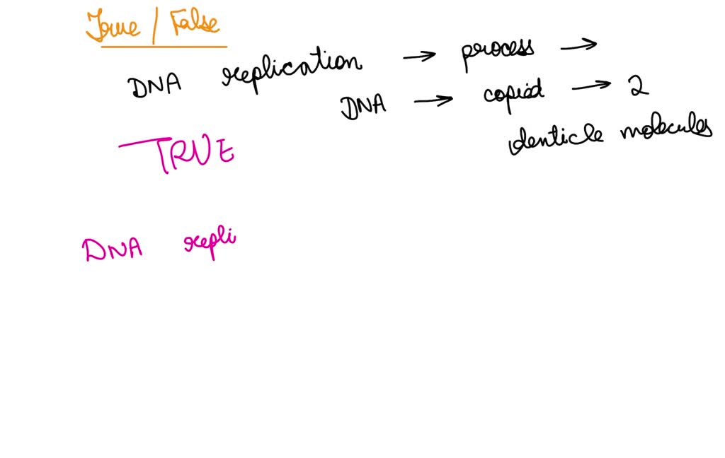 SOLVED: The DNA in your cells directs the process of protein synthesis ...