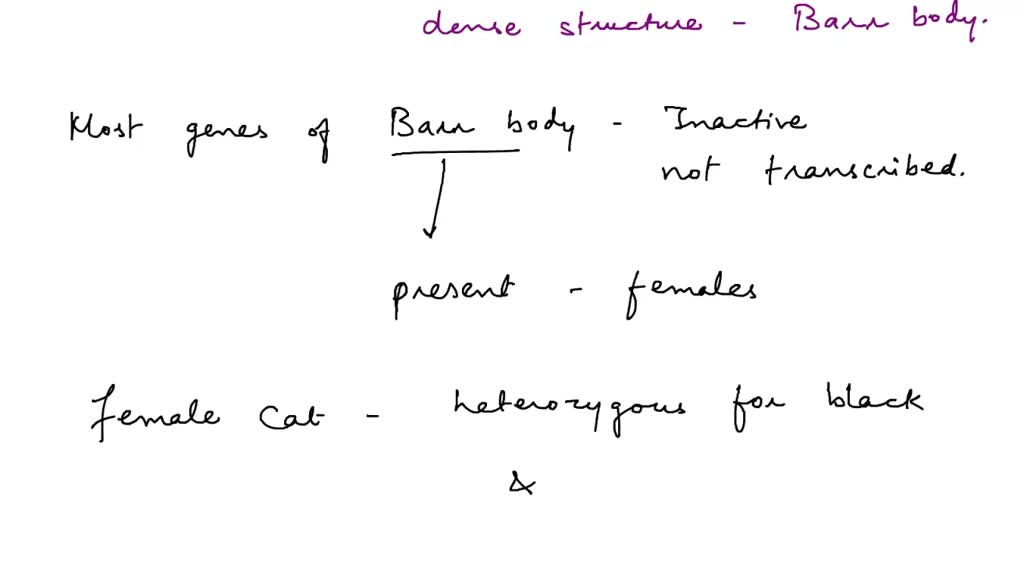 SOLVED: What are Barr bodies and how it effects the coat color in ...