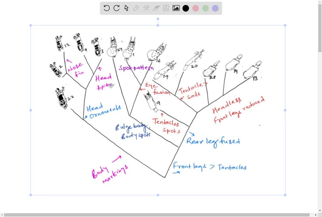 SOLVED: Below are a group of fanciful "caminalcule" animals. Based on their appearance, arrange ...
