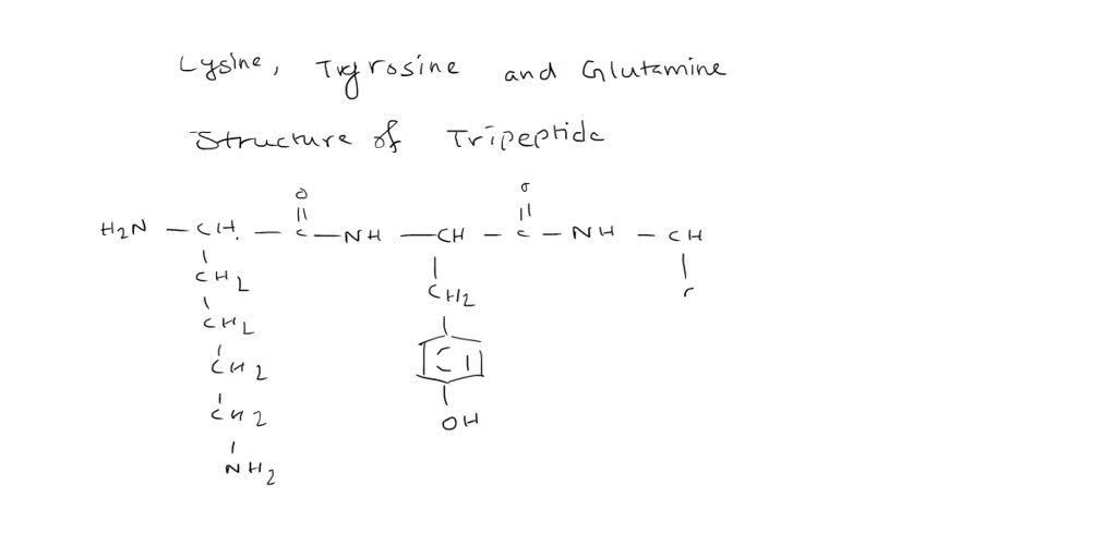 SOLVED: Write a complete structure for a tripeptide formed by the alpha ...