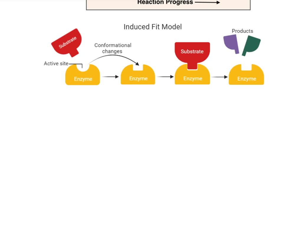 SOLVED: Part 1: The diagram below shows the activation energy required ...