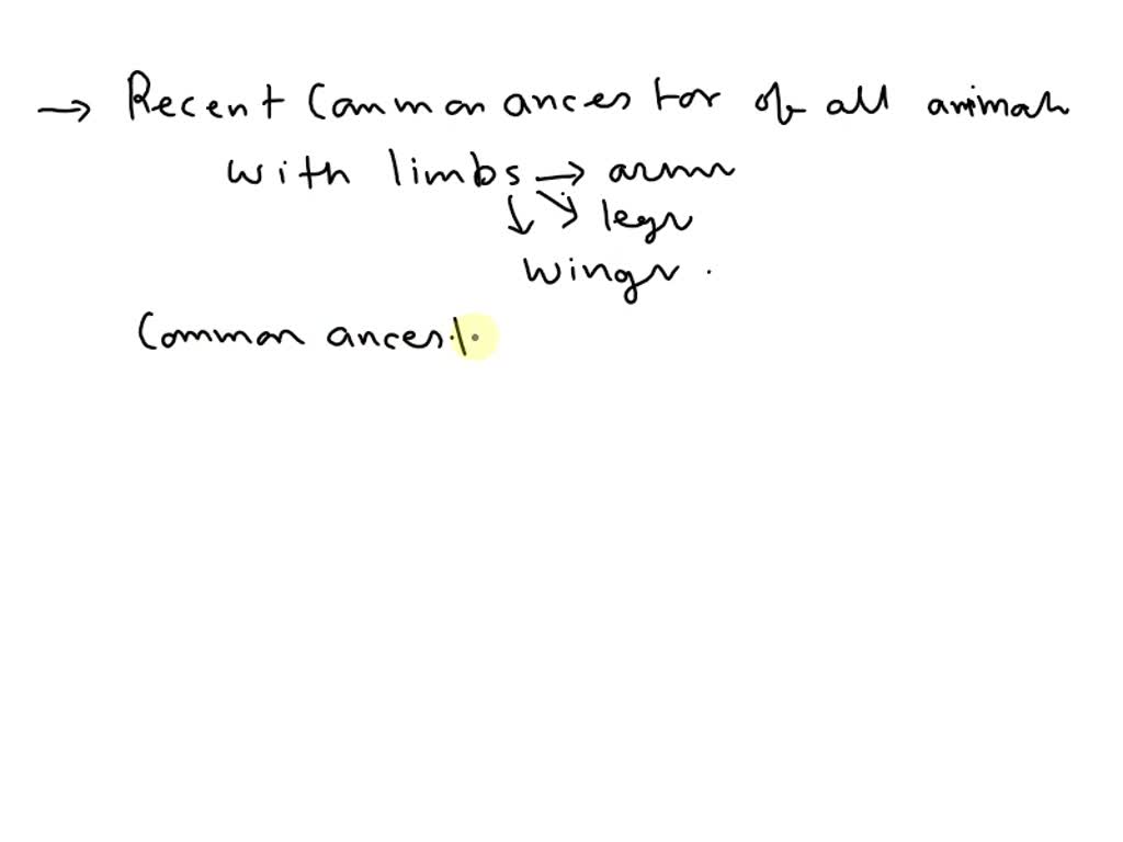 SOLVED: Which phylogenetic tree highlights the most recent common ...