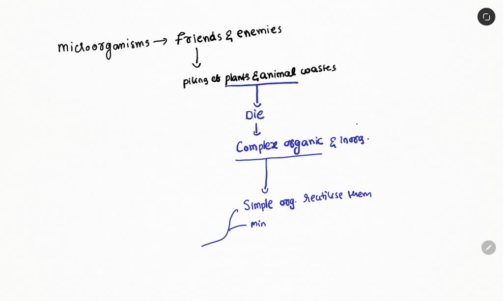 SOLVED: 'In the absence of microorganisms the earth would become a heap ...
