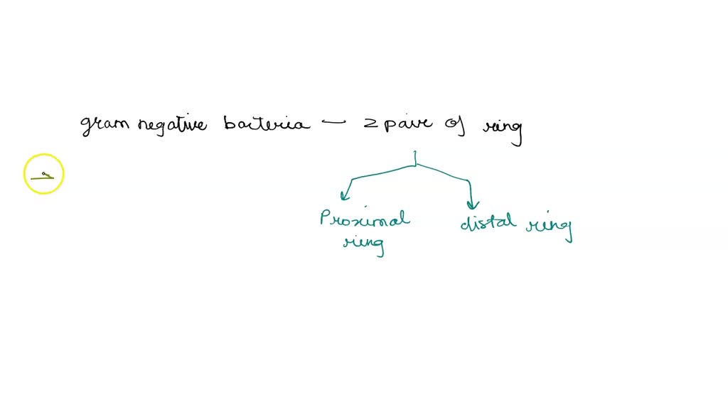 VIDEO solution: Answer the following questions using the diagrams ...