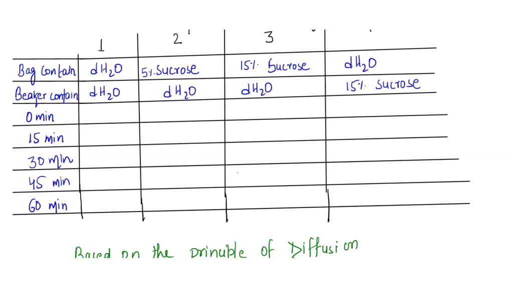 SOLVED: ParLU: Dialysis bag model "cells" (A. anded arc placed beakers ...
