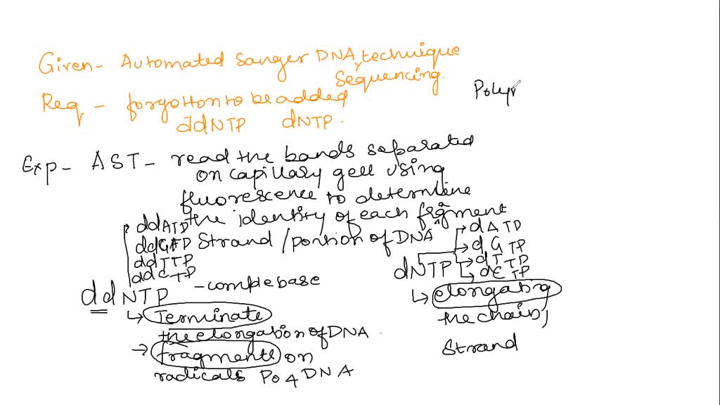 SOLVED: QUESTION 2 What happens in automated Sanger DNA sequencing ...