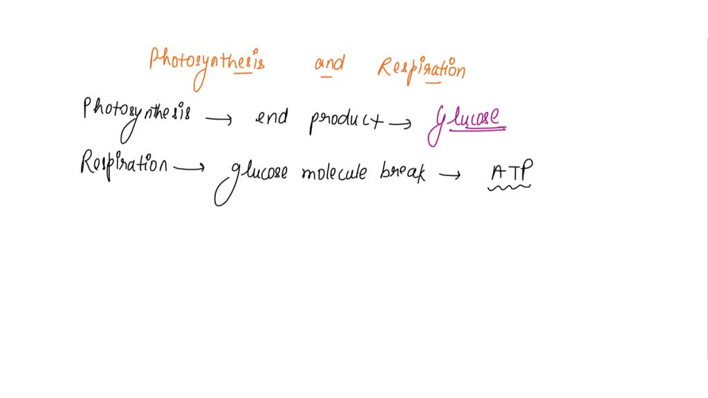 SOLVED: How are photosynthesis and cellular respiration related? A. Cellular respiration breaks ...