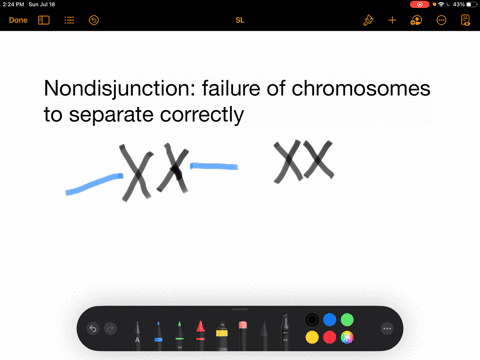 Nondisjunction Animation