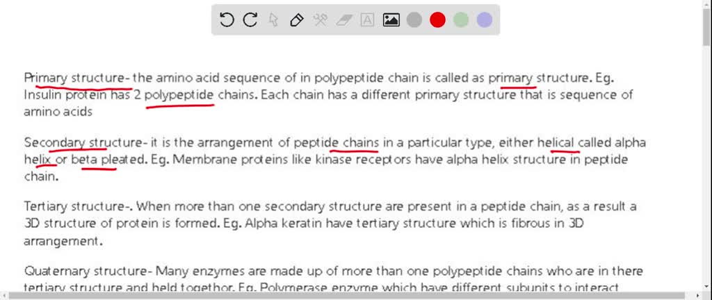 SOLVED: What are examples of each: Primary structure secondary ...