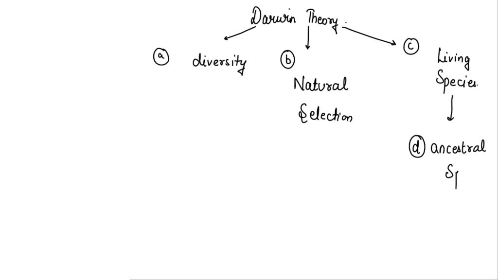 Solved Drag The Terms To Their Correct Locations In This Concept Map About Evolution Reset