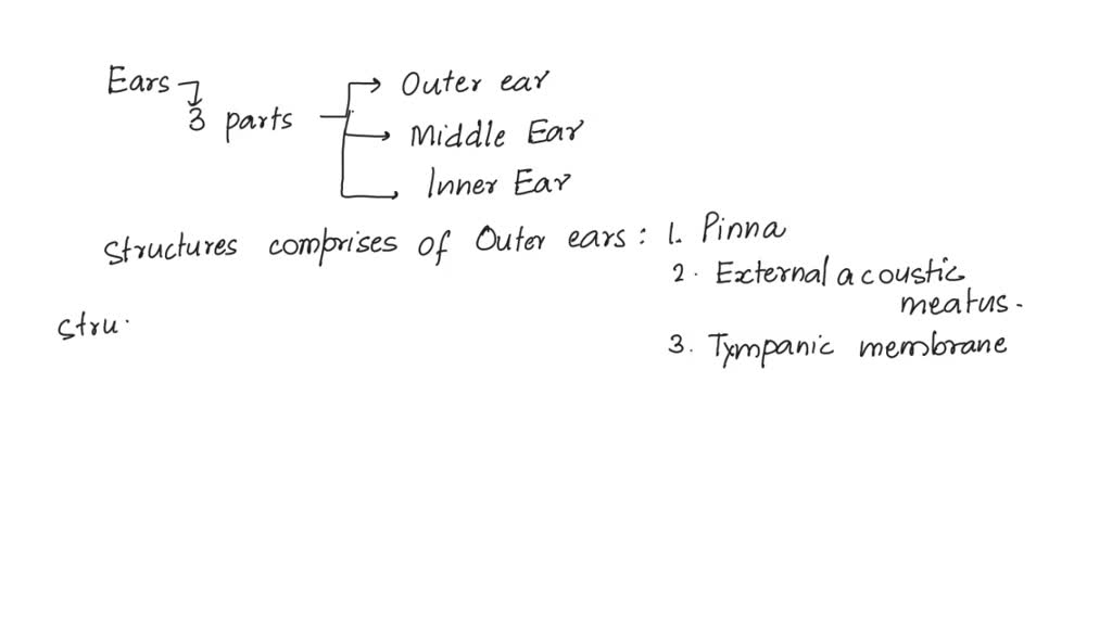 SOLVED: THE EAR: HEARING AND BALANCE 15. Using the key choices, select ...