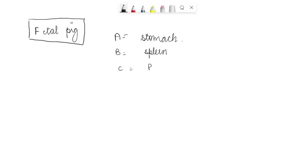 Label the structures of the osteon. (2 pts) List the structures labeled ... Label the structures of the osteon. (2 pts) List the structures labeled ...