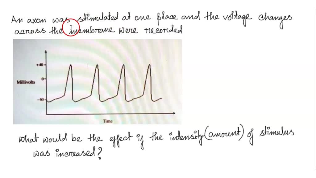 SOLVED: An axon was stimulated at one place and the voltage changes ...