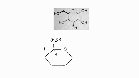 The chemical shown below is a : HO O OH HO OH OH Trace...