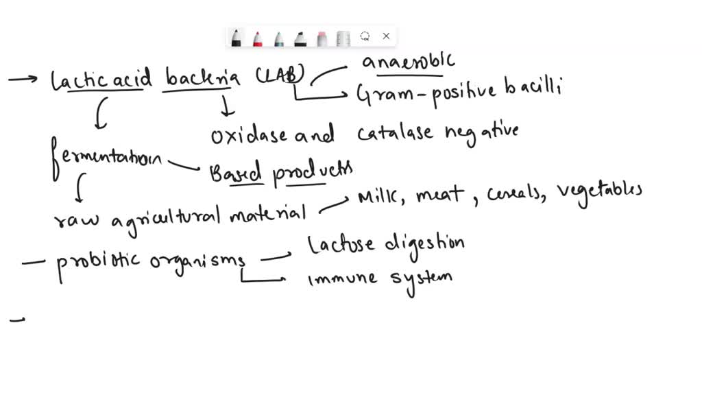 SOLVED: The order Lactobacillales produce lactic acid as their major or ...