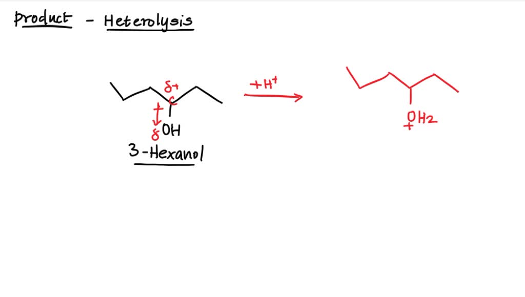 SOLVED: By taking into account electronegativity differences, draw the ...