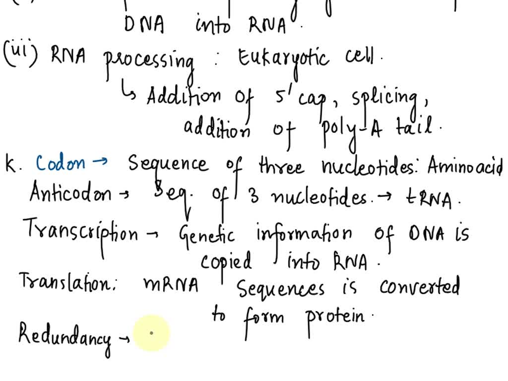 SOLVED: Texts: Transcription Where it begins on DNA: Enzyme involved ...