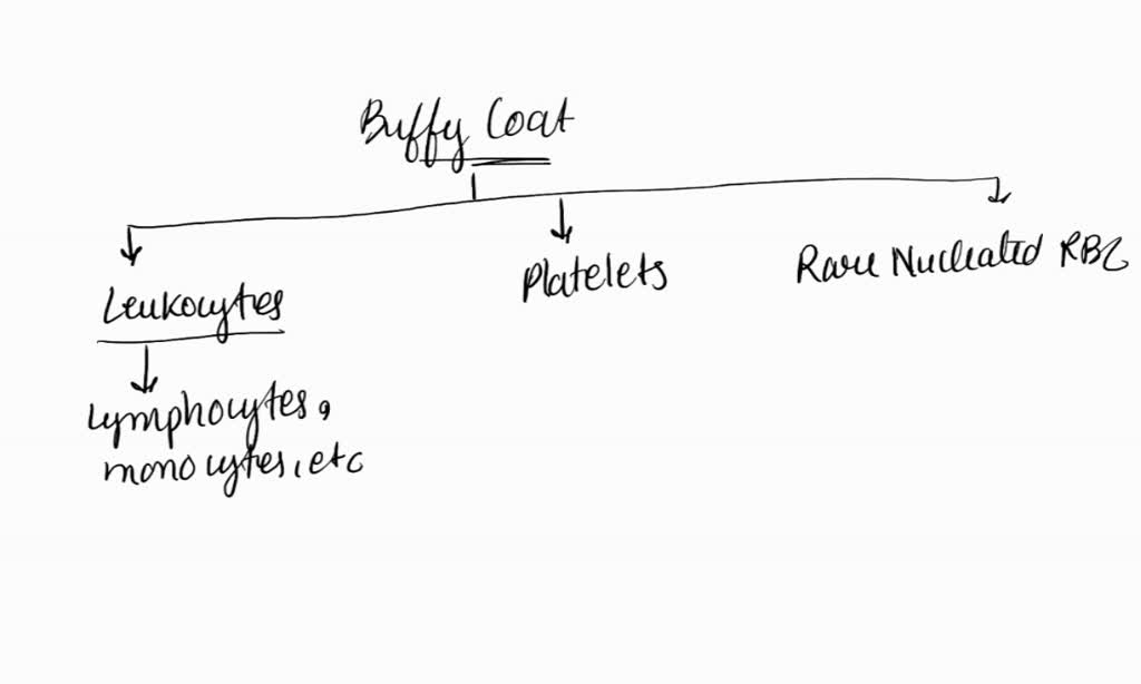 SOLVED: The buffy coat that appears after a sample of blood has been ...