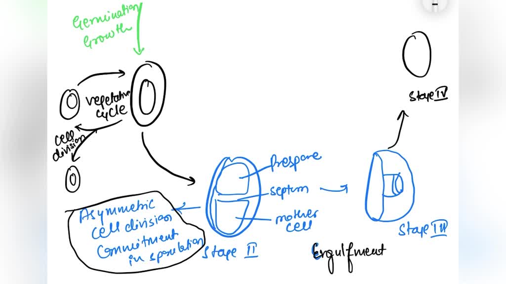 SOLVED: SOLVED: