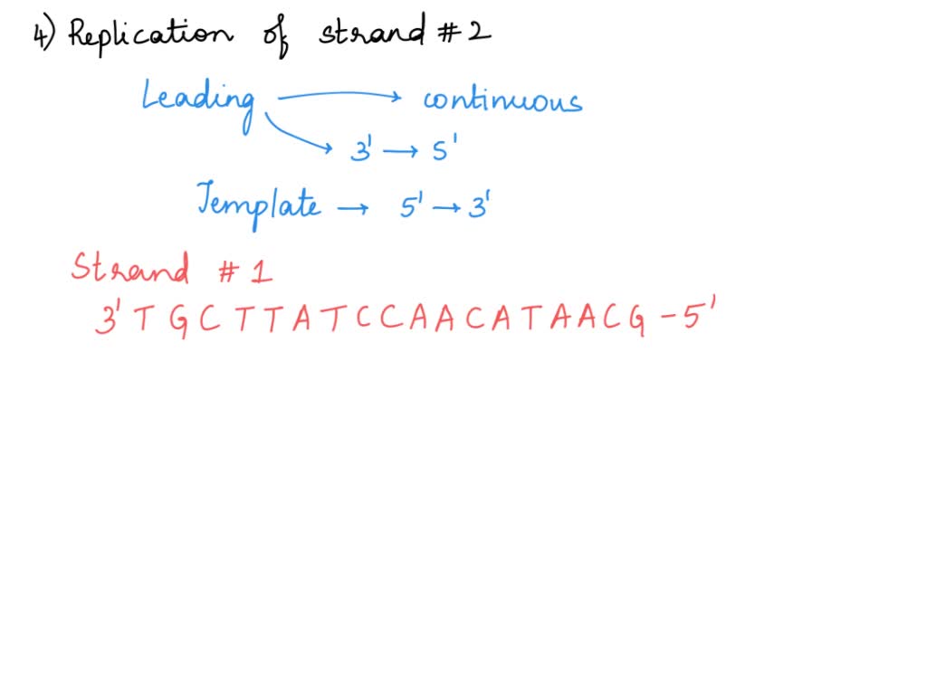 SOLVED: Write the letter of the best answer to the left of each ...