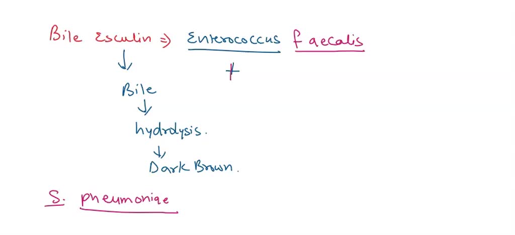 SOLVED: The salt tolerance test (6.5% NaCl broth) is used to ...