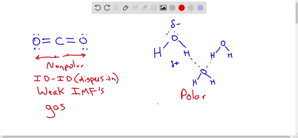 SOLVED: Based on what you have learned about intermolecular forces ...