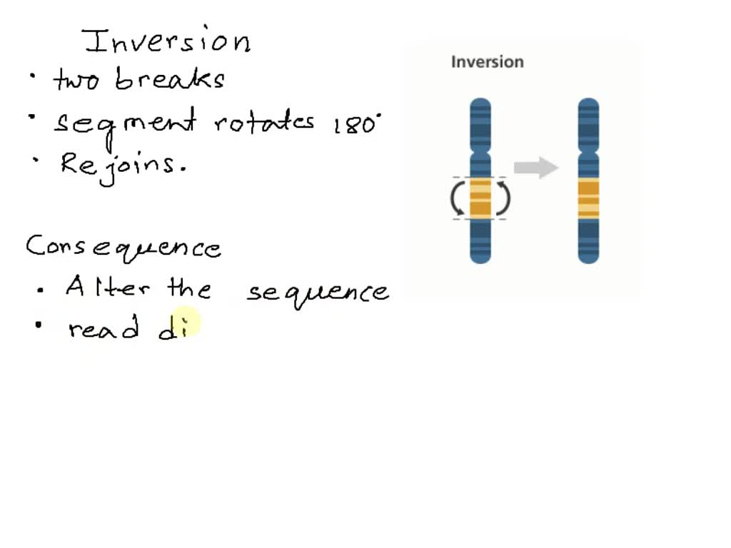 SOLVED: Under what circumstance can recombination occur within an ...