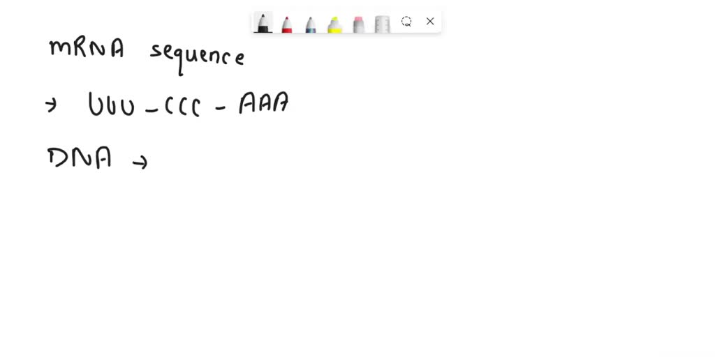 Using Figure 17.5, identify a 5^'→ 3^' sequence of nucleotides in the ...
