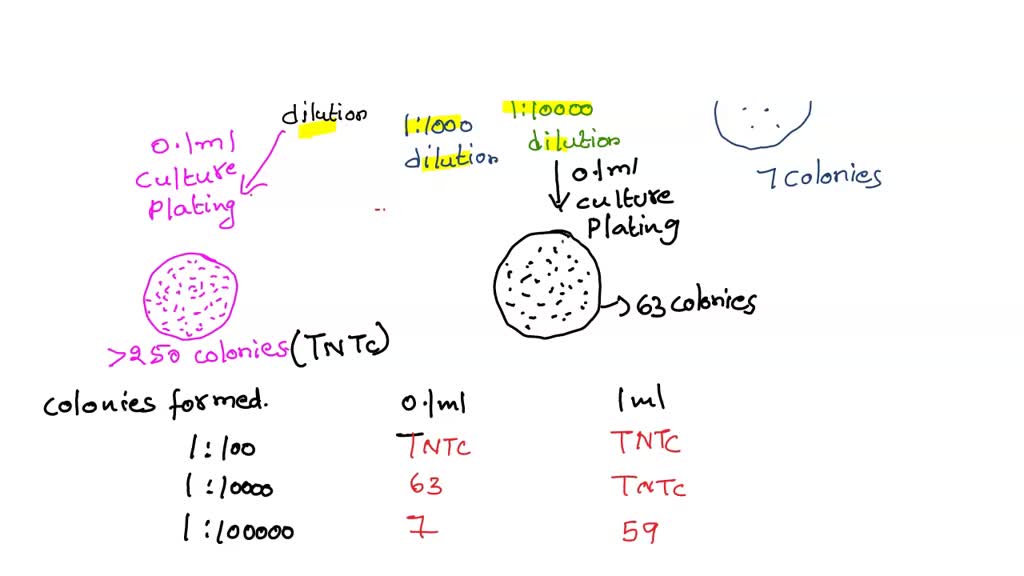 SOLVED: Serial dilution problem: Extra credit 1mL ML 1 ML 1 mL 1mL ML Sample of E, coli 9 mL 9 ...