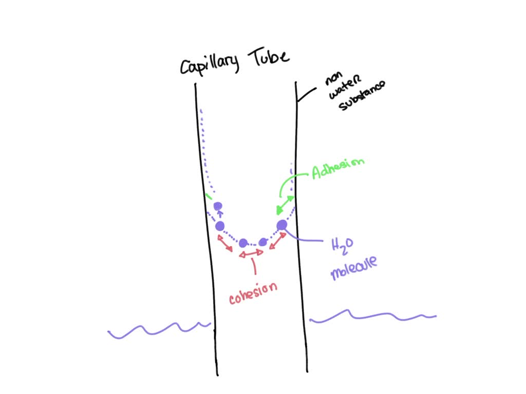 SOLVED: Describe the advantages of bonded phase capillary column over ...