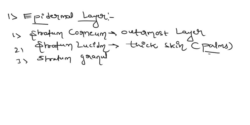 SOLVED: Lab - Integumentary System - Attempt 1 Labeling Activity: Hair ...