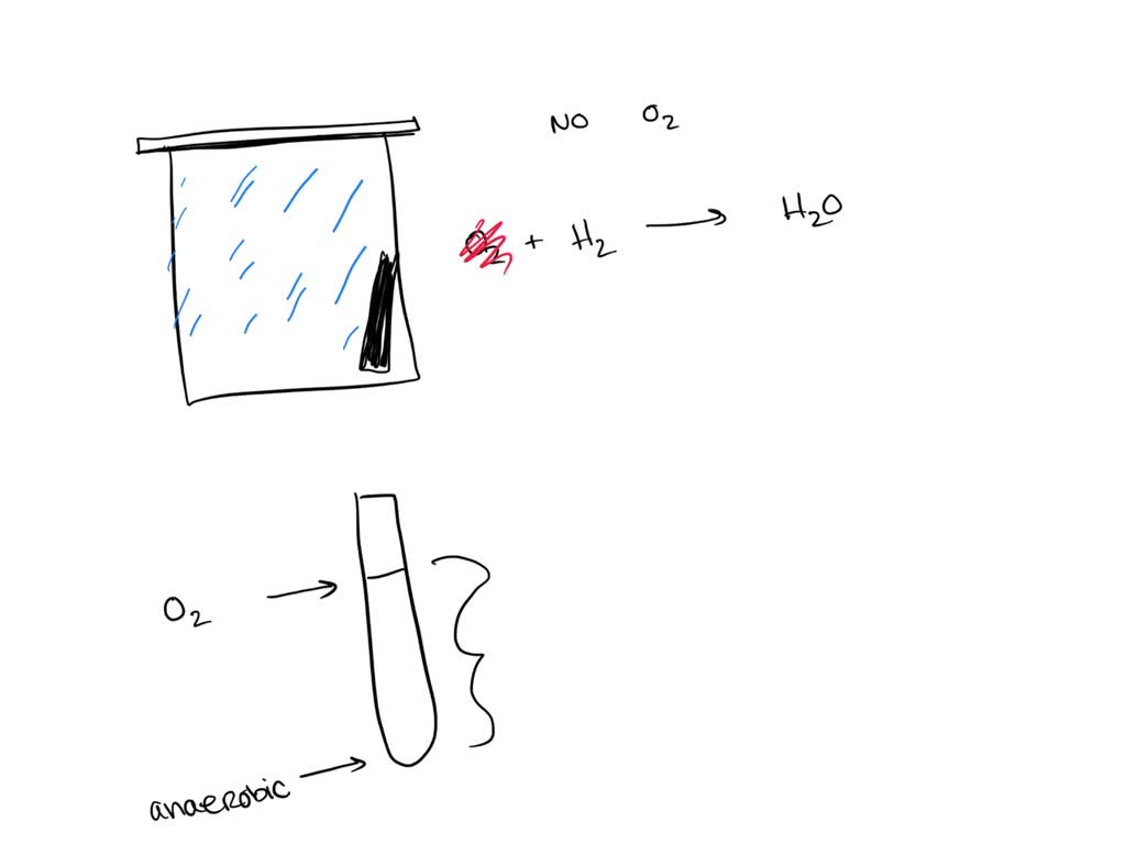 SOLVED: When plates and tubes are placed in an anaerobic jar, there is ...