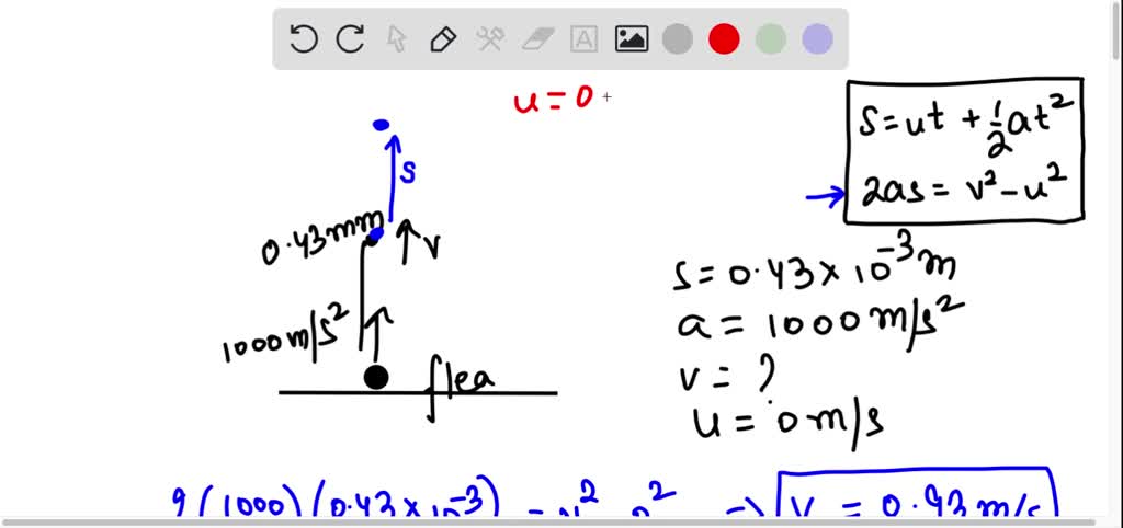 SOLVED: When jumping; flea accelerates at an astounding 1000 m/s2 but ...