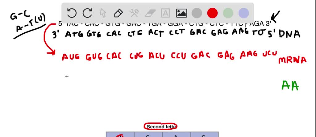 SOLVED: Shown in the following table are several amino acid ...