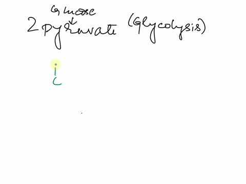 Draw the reactions from CH3-CH2-CH2-S-CoA →pyruvate