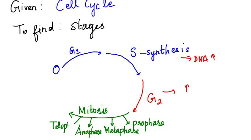 SOLVED: Assignment d Label the figure below to test your knowledge of ... SOLVED: Assignment d Label the figure below to test your knowledge of ...