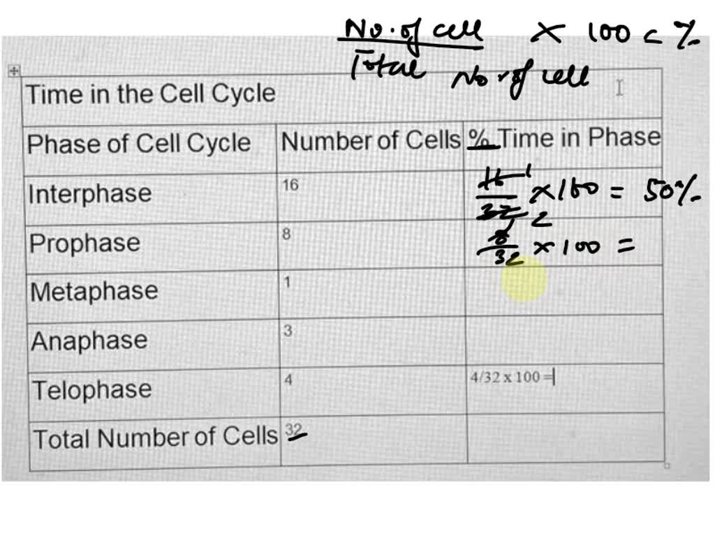 solved-experiment-1-fill-in-the-table-below-with-your-results-of-the