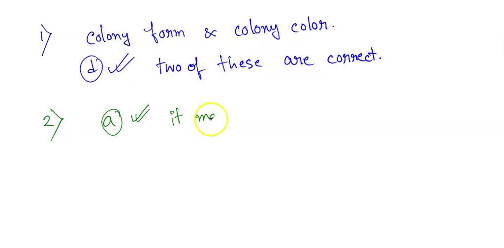 SOLVED: Biology Lab Test Study Questions Part 2: Define macromolecule ...