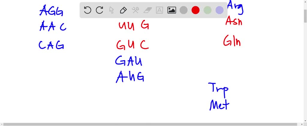 SOLVED: Codon AGG AAC CAG Anticodon CCA Amino Acid Arg Fill out the ...