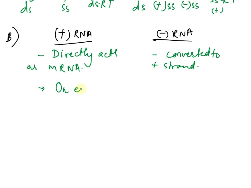 SOLVED: The Baltimore classification system is one of several methods ...