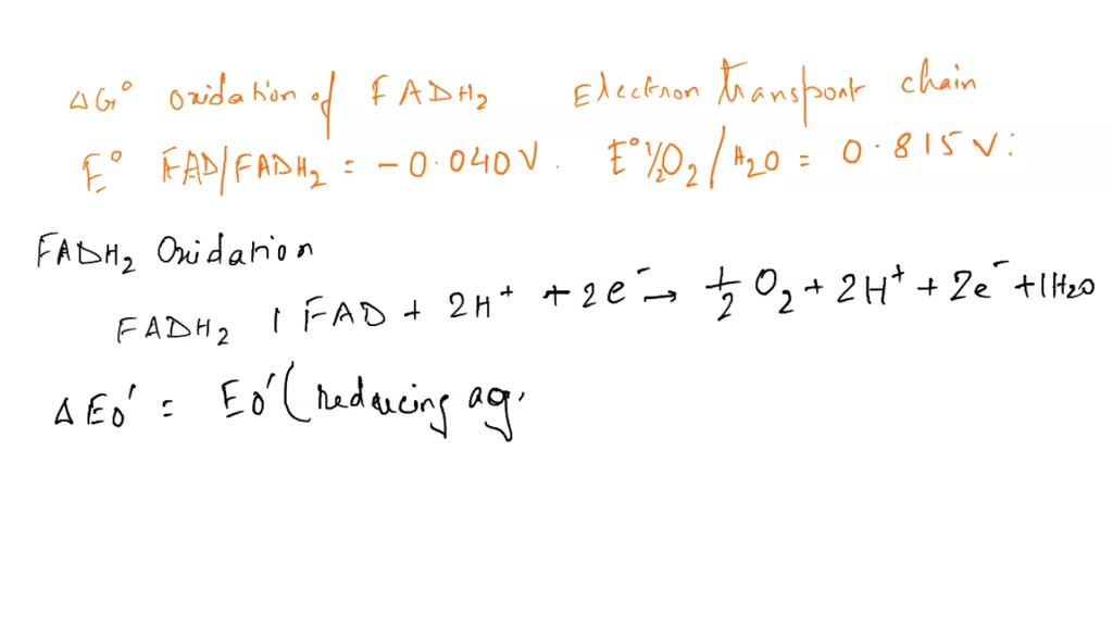 SOLVED: Calculate the G"for the oxidation of FADH2 in the mitochondrial ...