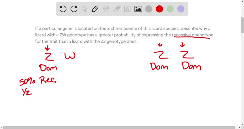 SOLVED: If a particular gene is located on the Z chromosome of this ...