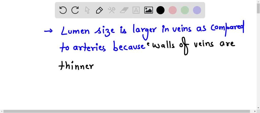 SOLVED: ASSERTION: "Lumen size is bigger in the veins than arteries ...