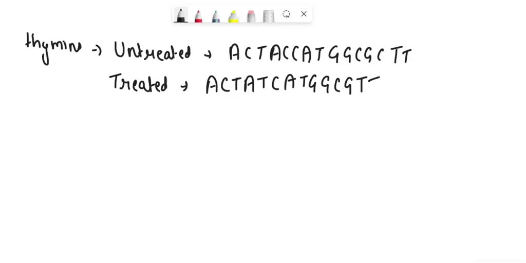 SOLVED: The following fragment of DNA was sequenced and then treated with sodium bisulfite ...