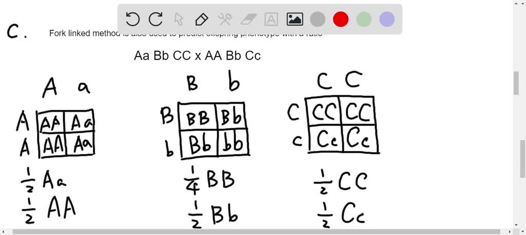 Consider the cross AaBbCC x AABbCc. a. How many different gamete ...