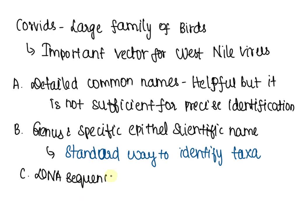 SOLVED: Corvids are a large family of birds that includes many species ...