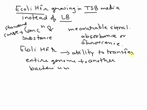 Would the standard curve be valid for e coli hfr growing in...